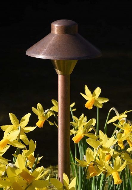 Plug&Play Garden Lights | Lighting For Gardens